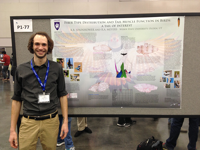Undergraduate Research